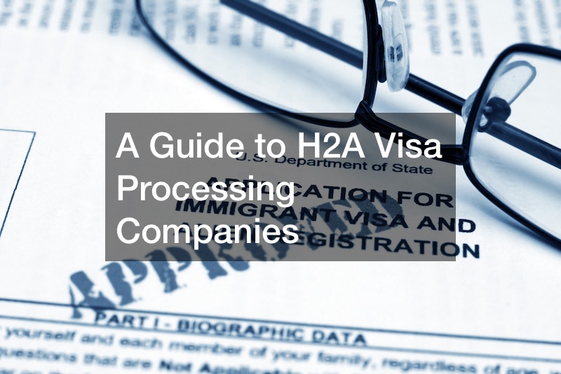A Guide to H2A Visa Processing Companies - Sky Business News